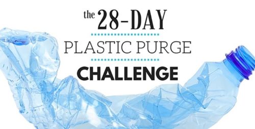 Plastic Purge Challenge In 28 Days | WhosGreenOnline.com
