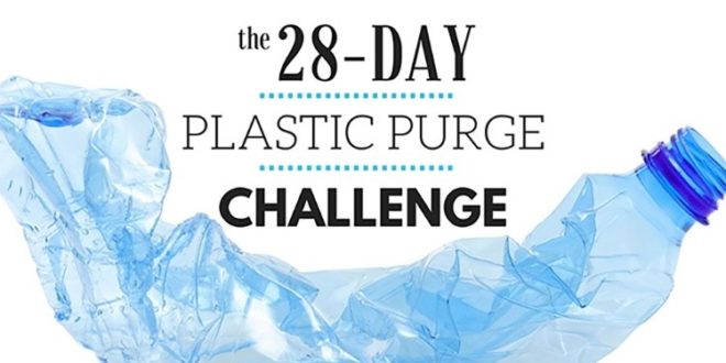Plastic Purge Challenge In 28 Days | WhosGreenOnline.com