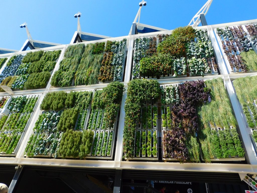 Benefits of Including Nature in Building Design | WhosGreenOnline.com