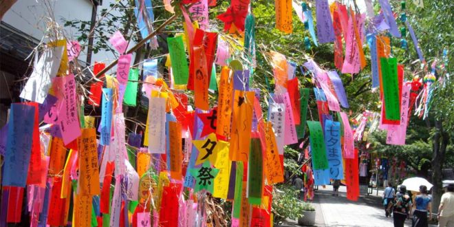 “Wish Trees”, The Fascinating Cultural Trend | WhosGreenOnline.com
